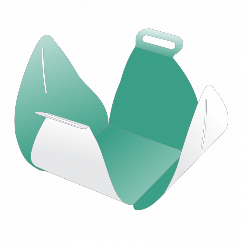 Adorable Custom Tulip Box